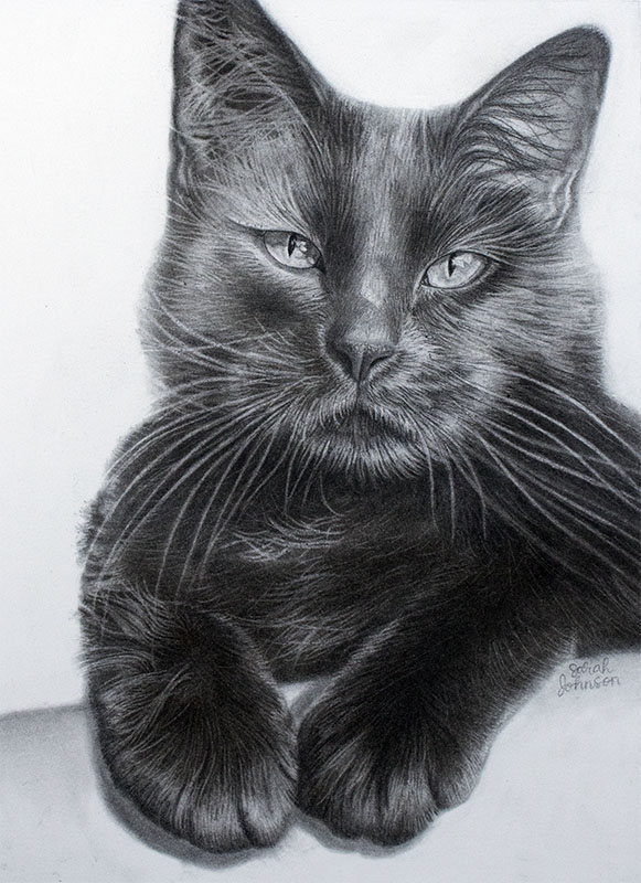 My Shadow - Sarah Johnson Art